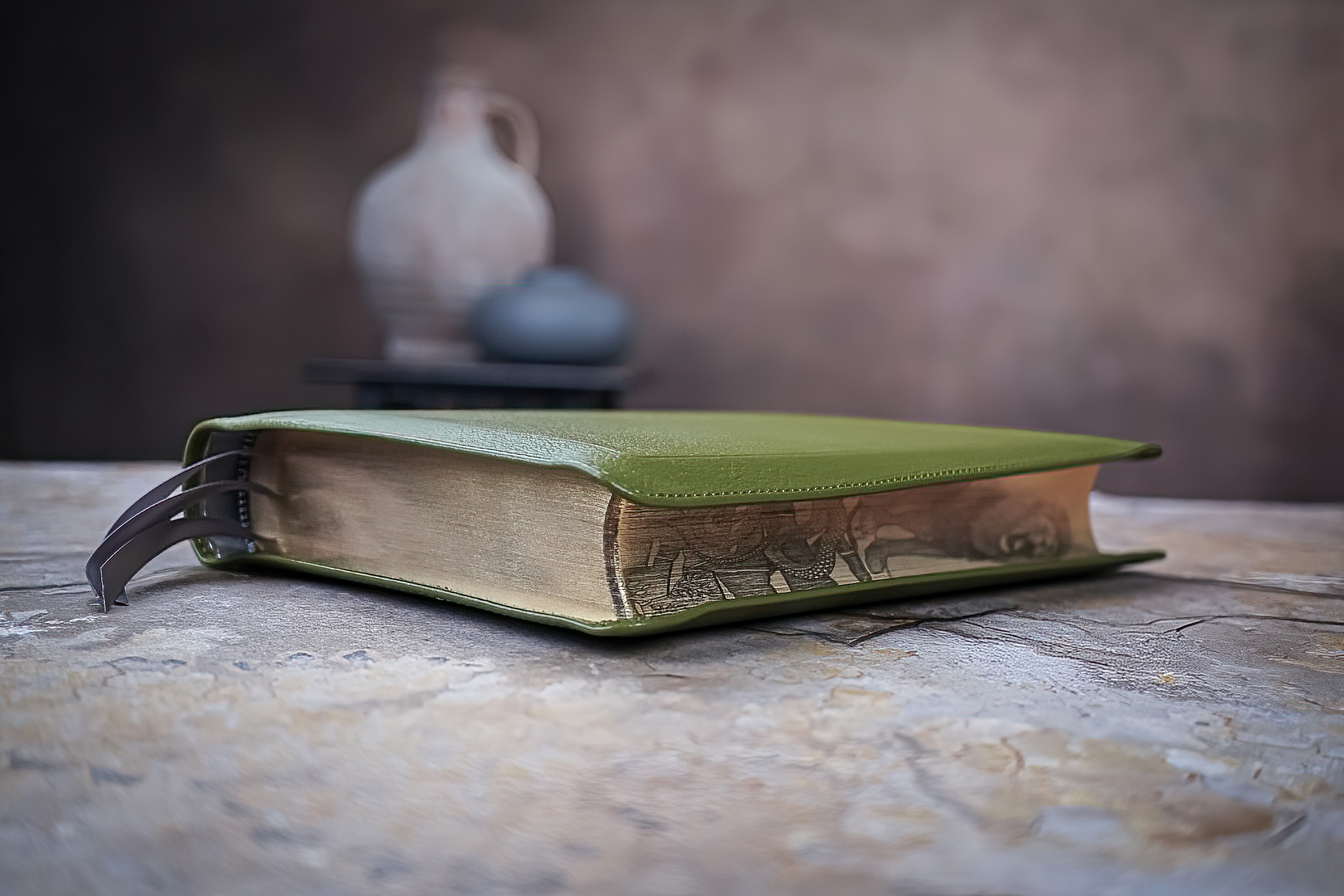 7 Reasons Why Your Next Bible Should Be A Humble Lamb – Tom's Theology Blog