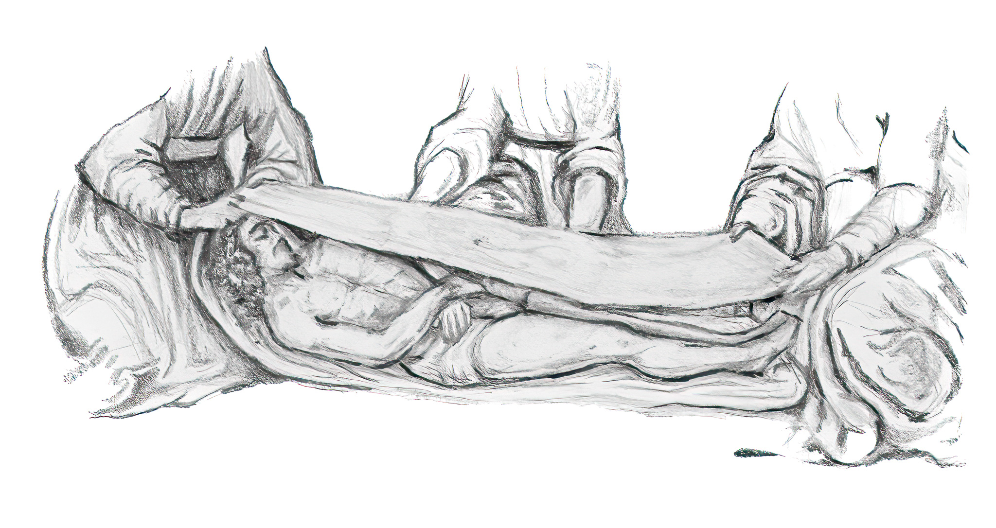 The Shroud and the Burial of a Jewish Man: Evidence from First-Century ...