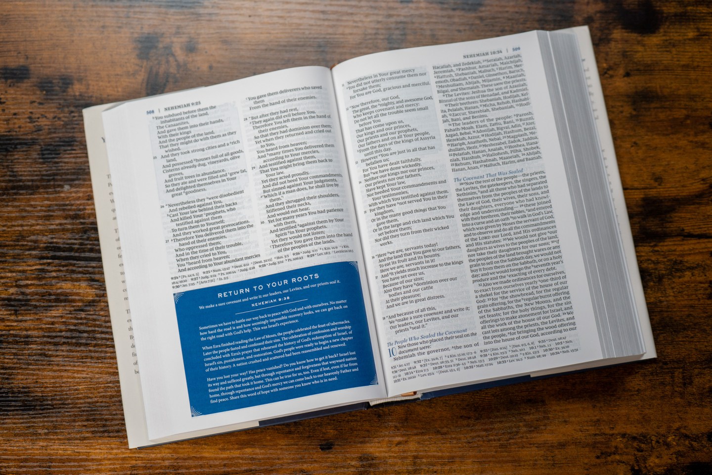 Finding Shalom in the Pages of Scripture: A Review of the Peace of God ...
